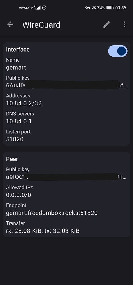 [SOLVED] Wireguard client connected, but no internet access - Pioneer Support - FreedomBox Forum